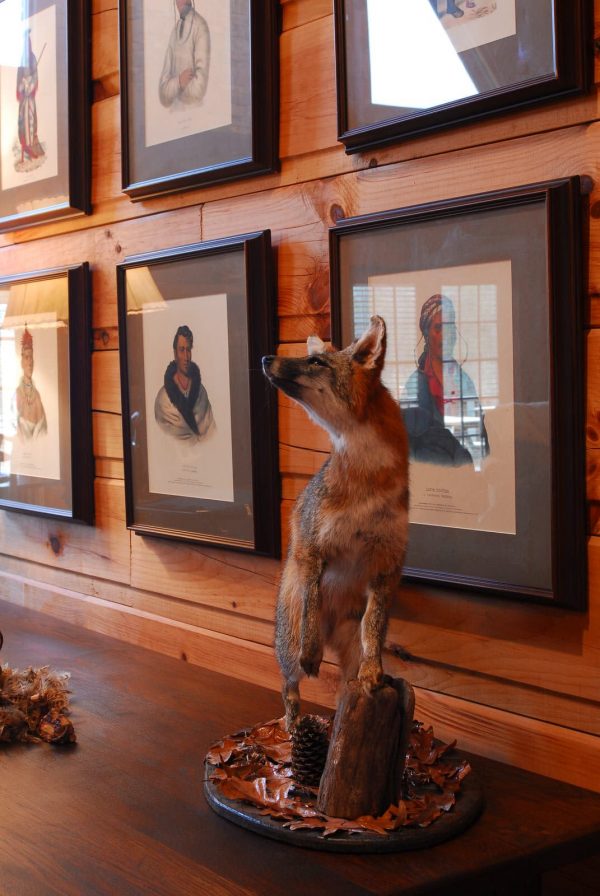 Dunbar - Photos | Log Cabin Kits